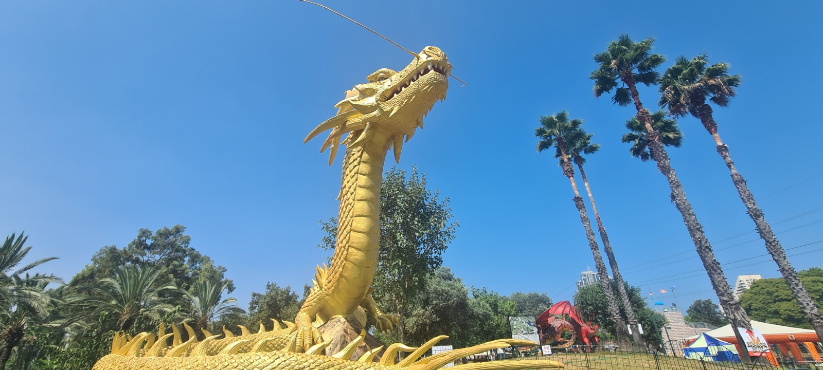 כניסה חינם לתושבי עוטף עזה לפארק DRAGONLAND -האטרקציה הגדולה של הקיץ ...